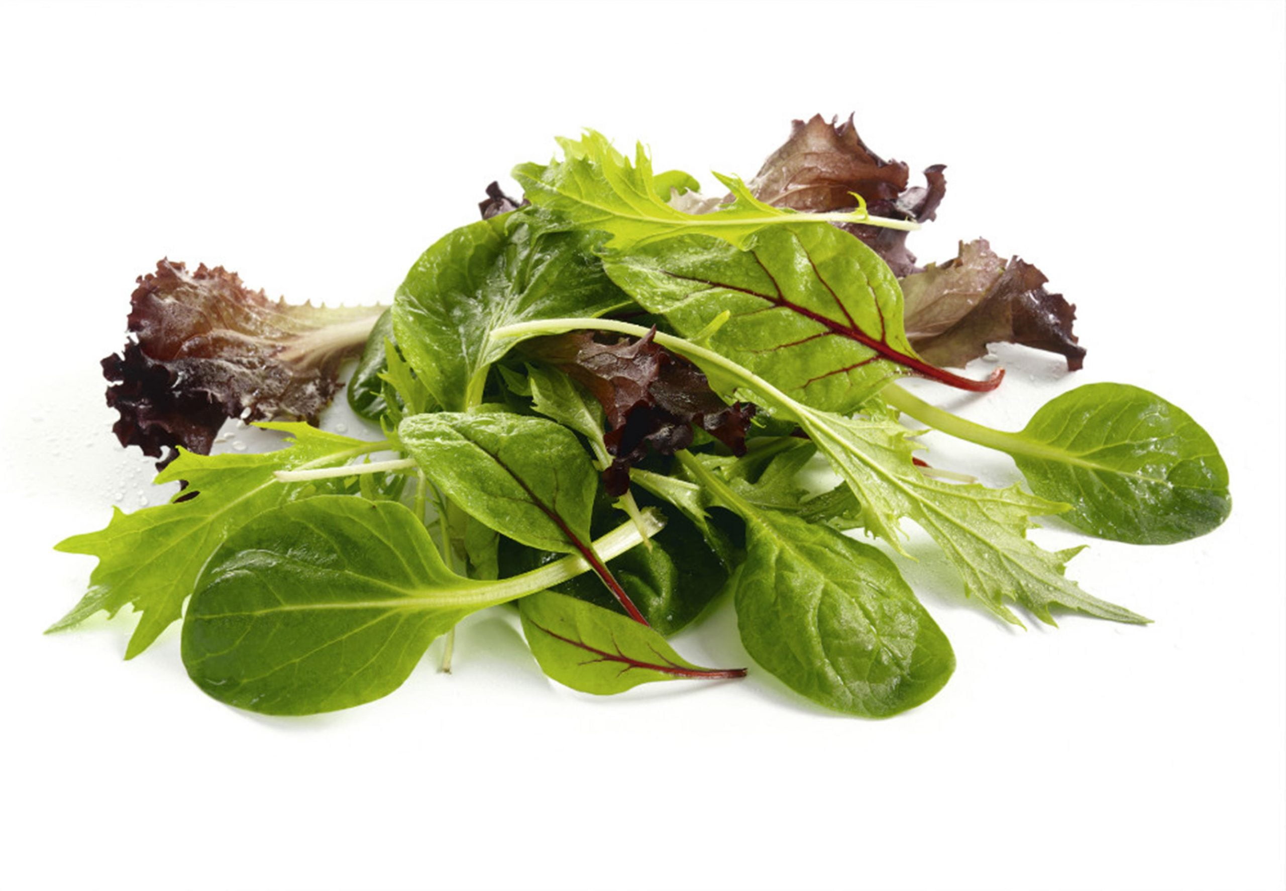 Baby Leaf Salad - Mason Foodservice